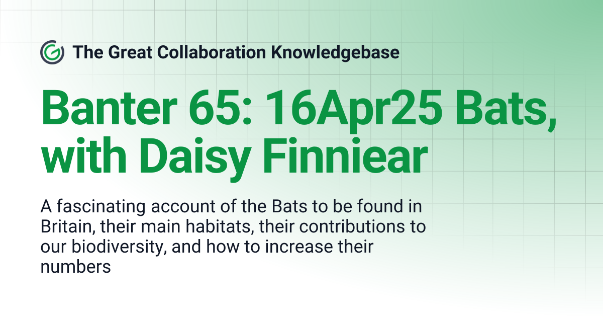 Banter 65: 16Apr25 Bats, with Daisy Finniear | The Great Collaboration ...